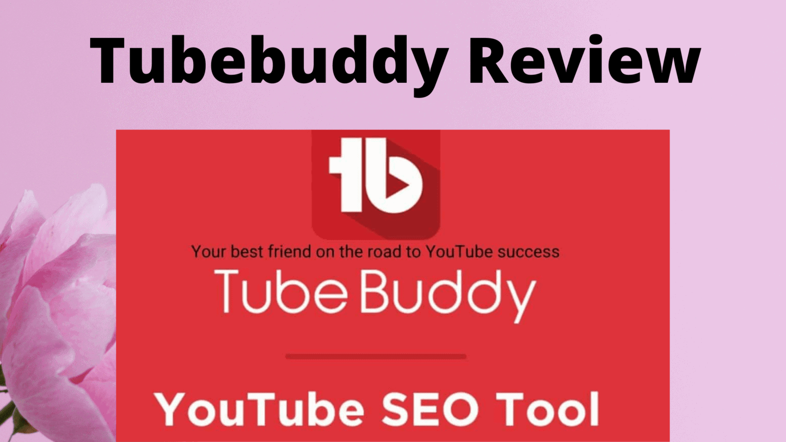 Tubebuddy Review (Everything You Need To Know) In 2025 | Webhost Winner